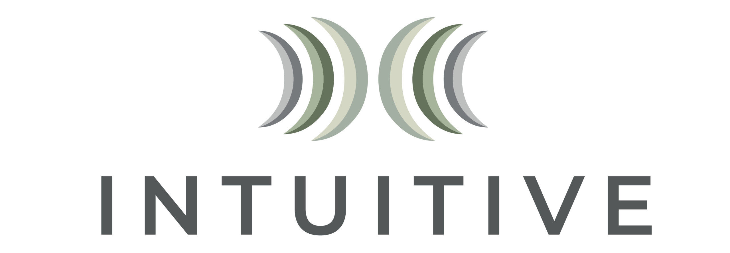 cropped-Intuitive-Logo-02-logo-above-wording.png | I N T U I T I V E